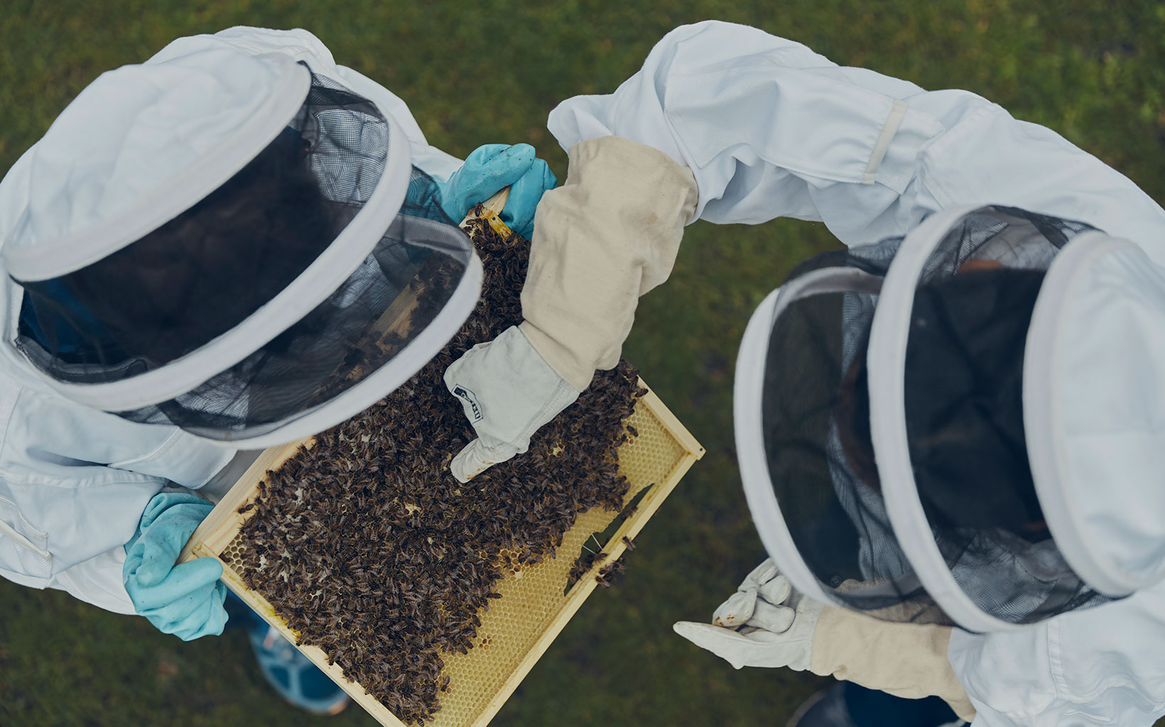 Enrichment | Uppingham School